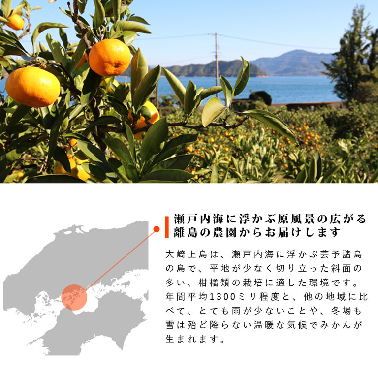 【今期終了しました】みかん 有機JAS 有機みかん（無階級・サイズ指定なし） 中原観光農園 5kg 国産__ 【支払いはクレジットカード・全額ポイント・amazonペイメントのみ】 【ママパン ...